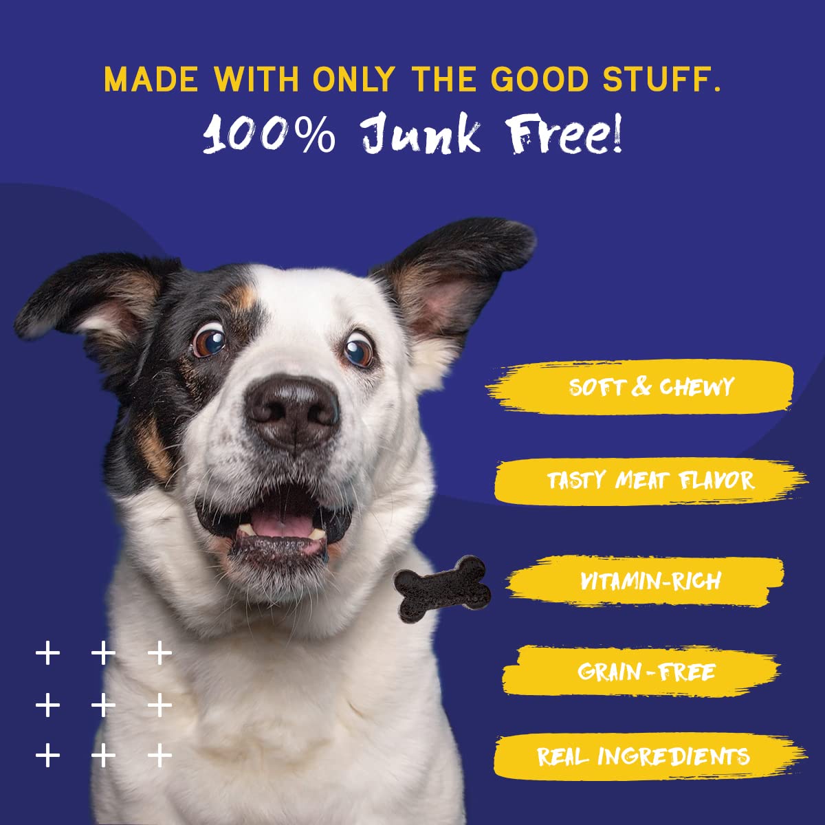 PupGrade 2-Pack Daily Multivitamin & Digestive Support Supplement for Dogs - All-in-One Formula for Digestive, Immune System, Skin & Coat Health- with Probiotics, Prebiotics, Enzymes - Made in USA - 9
