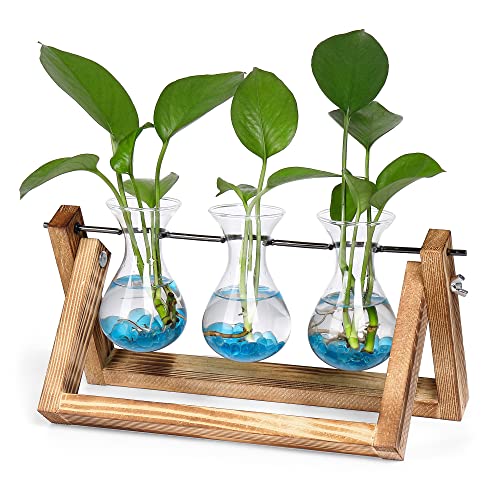 ONEPENG Propagation Stations,Birthday Gifts for Women,Home Garden Office Decor Plant Lover Gifts (3 Bulb Vase)