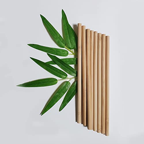 EcoAmiga Bamboo Straw, 8 Inch Reusable & Biodegradable Organic Bulk Straws β Great Ecological Alternative to Plastic Straws (Bamboo)