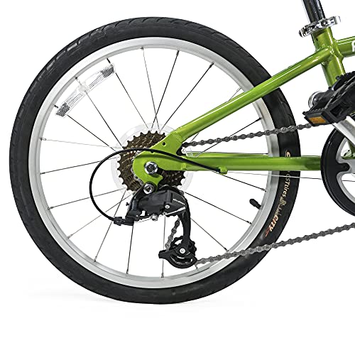 Burley Trailer Bike