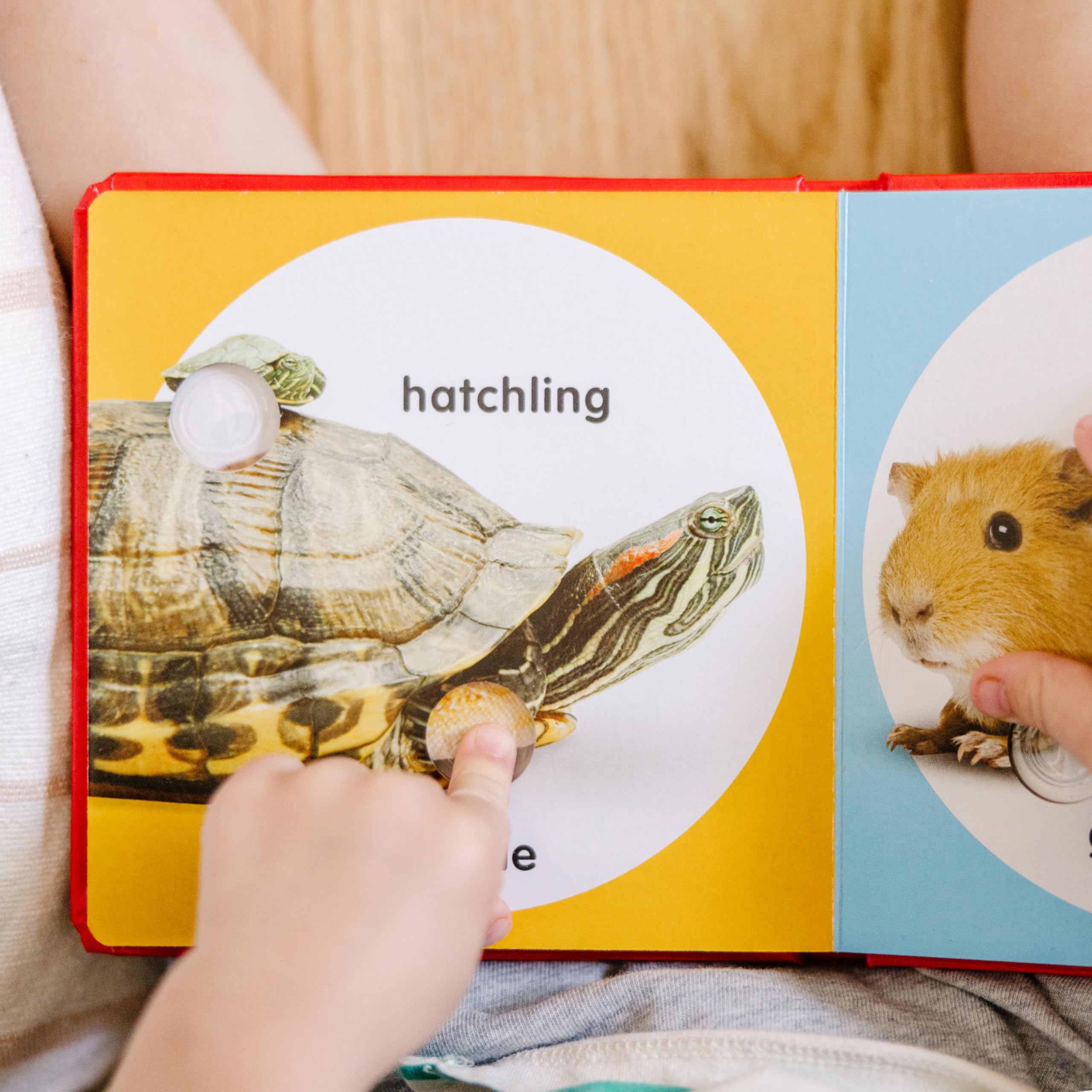 Melissa & Doug Children’s Book – Poke-a-Dot: Pet Families (Board Book with Buttons to Pop)