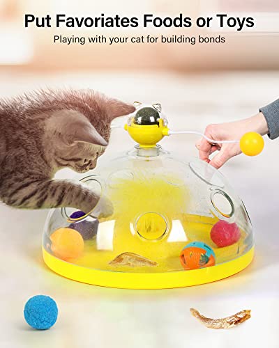 HOPET Interactive Cat Toy for Indoor Cats, Catnip Balls Roller Tracks Exercise Balls Teaser, Kitten Feeder Stimulation Toys Gifts for Pets Cats Lover Women Men