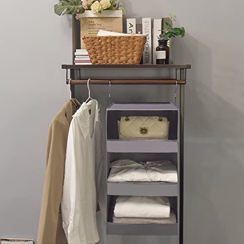 GRANNY SAYS Bundle of 2-Pack Storage Bins with Lids Large & 1-Pack Hanging Closet Organizer