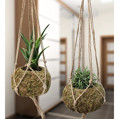 Esterno Kokedama Hanging Planters (Set of 3, 5.5in Diameter); Japanese Moss Ball Plant Holder for Ferns, Succulents, Orchids Etc