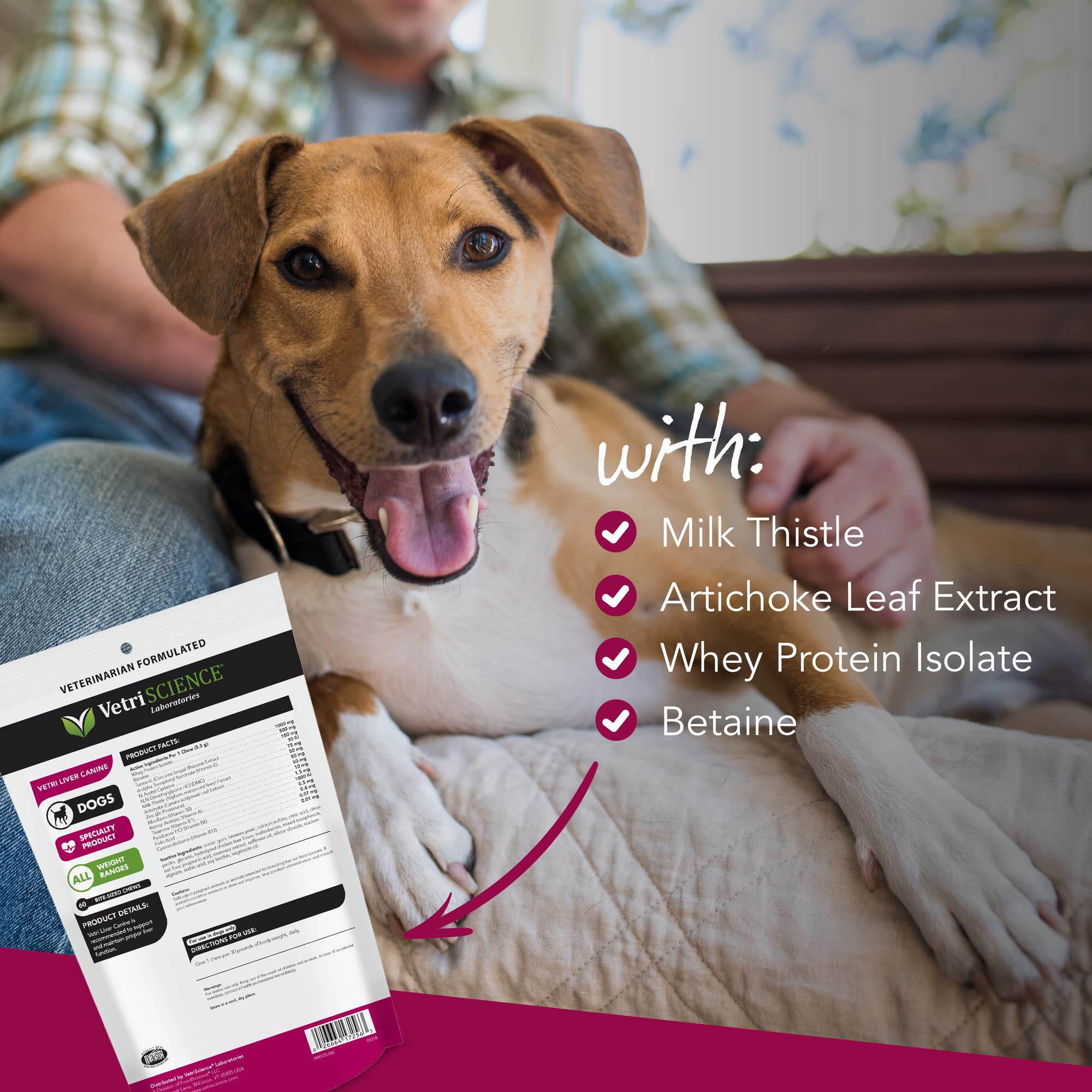 VETRISCIENCE Vetri Liver Canine Milk Thistle Supplement for Dogs – Advanced Liver Supplement for Dogs with Antioxidants, Liver Detox, for Sensitive Stomachs