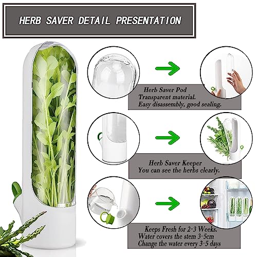 Vamrak Herb Saver for Refrigerator, Fresh Herb Keeper, Cilantro Containers for Refrigerator, Herb Saver Pod, Fresh Herb Keeper for Cilantro, Parsley, Asparagus, Keeps Vegetables for 2-3 Weeks (3PCS)