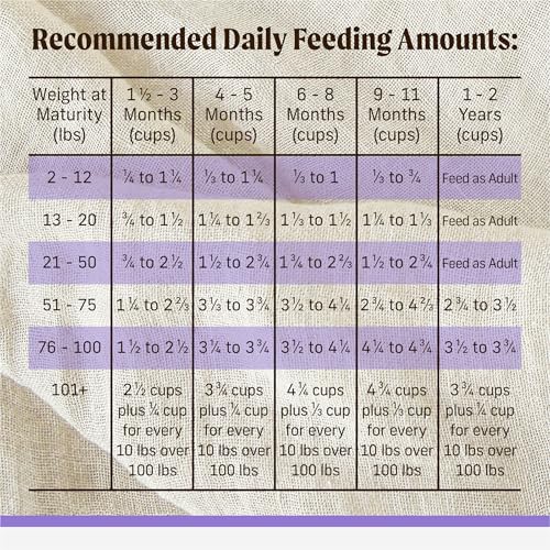 Merrick Backcountry Healthy Grains Premium Dry Puppy Food, Kibble with Freeze Dried Raw Pieces, Chicken - 10.0 lb. Bag
