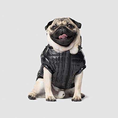 Canada Pooch Cp01747 Nordpol Parka Black Gloss Size 14