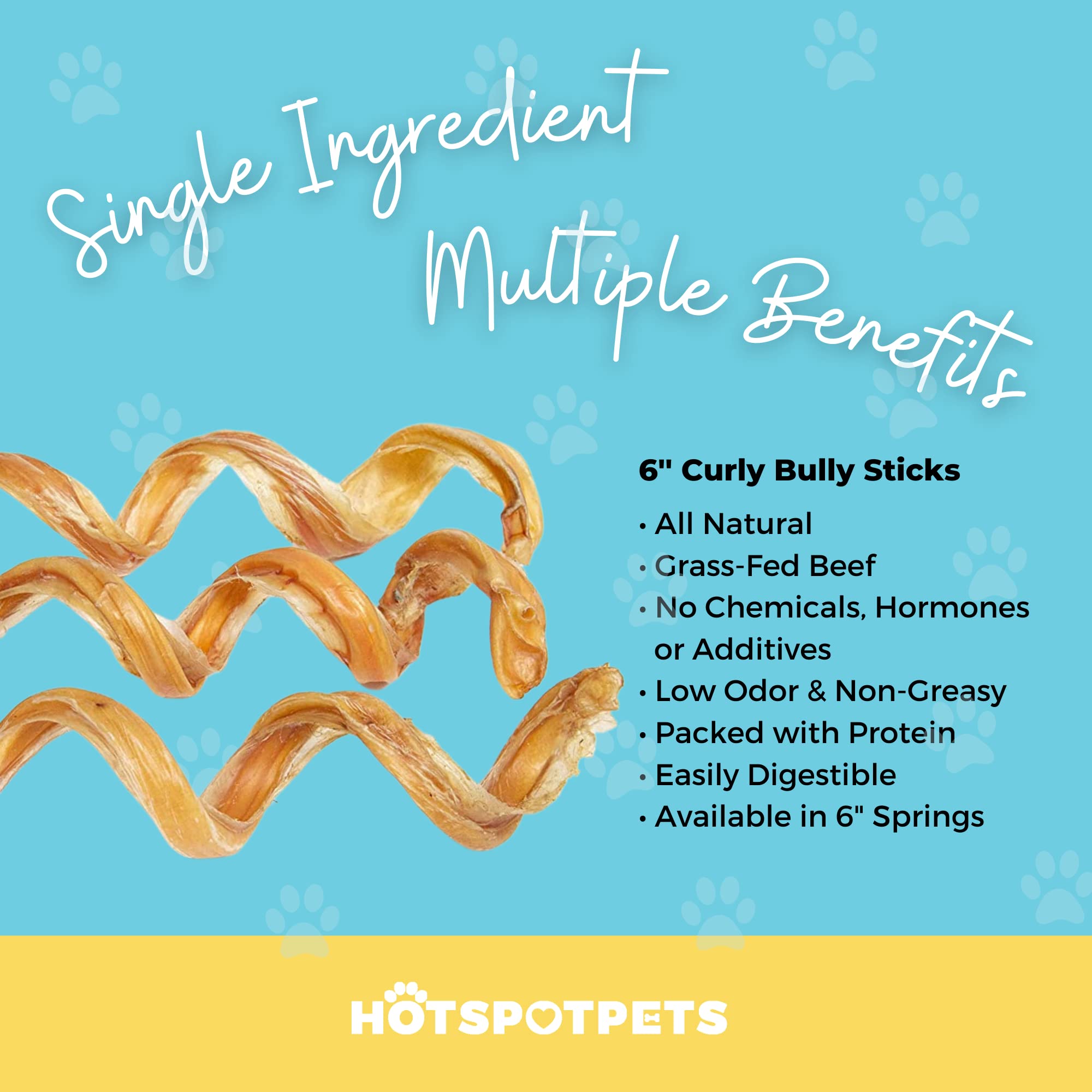 hotspot pets Spring Bully Sticks for Dogs - (12 Pack) Premium All Natural Long Twisted Beef Pizzle Dog Chew Treats - Grain Free Fully Digestible Rawhide Alternative - 6 Inch Stix