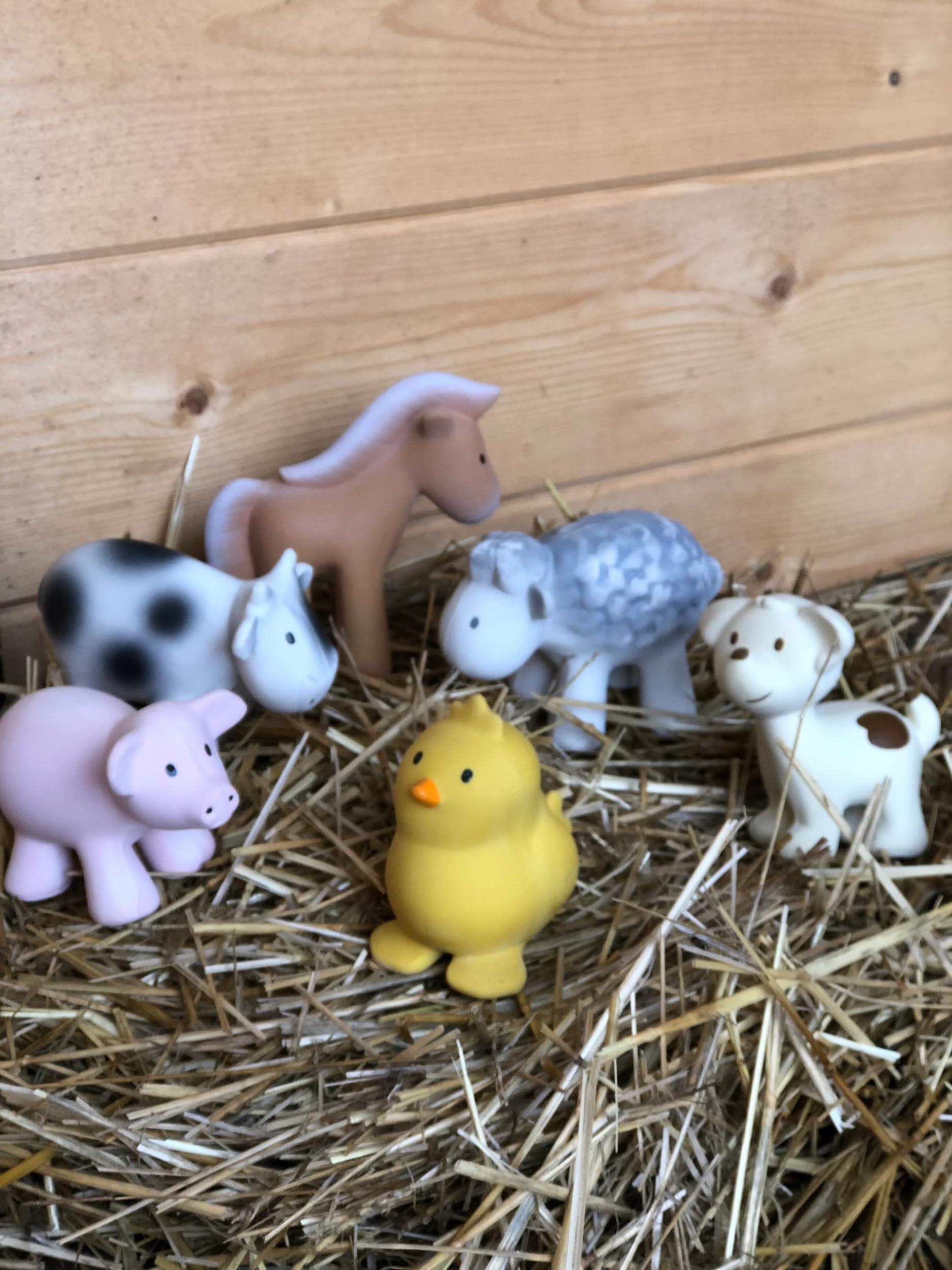 Tikiri My First Farm Animal Pig Natural Rubber Rattle (Pink)