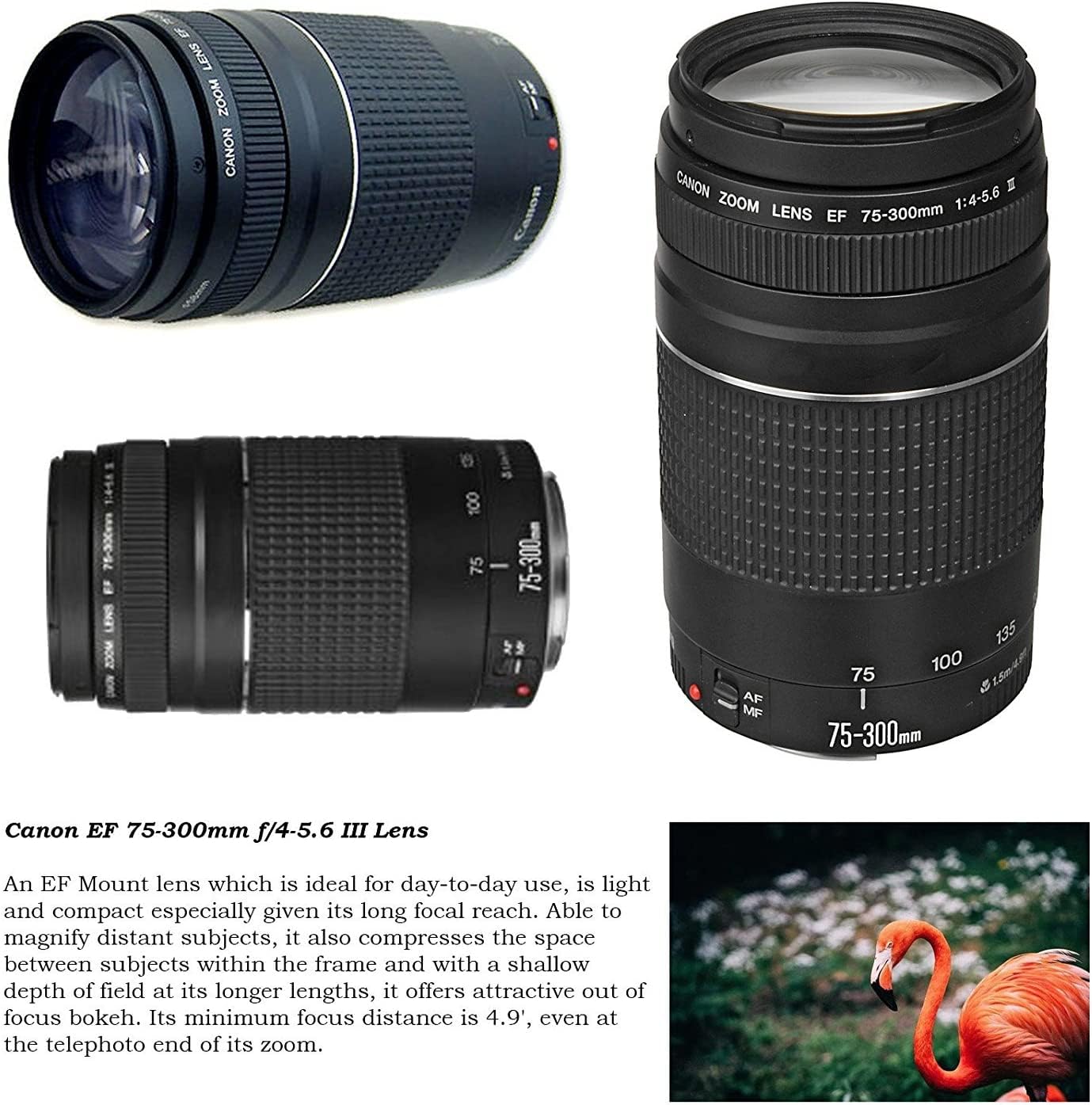 Canon EOS 5D Mark IV DSLR Camera w/ 24-105mm STM Lens + Canon EF 75-300mm III Lens, Canon 50mm f/1.8, 500mm Lens & 650-1300mm Lens + Deluxe Backpack + 128GB Memory + Monopod + Professional Bundle