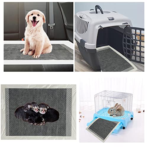 MUYG Disposable Rabbit Pee Pads,50PCS 17.7"x23.6" Pet Pees Pad,Cage Black Carbon Liner,Super Absorbent Leak Proof Cushion Reduce Odor Bunny Training Accessories for Kitten Puppy Hamster Hedgehog(Gray)