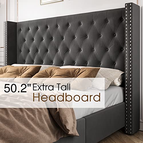 PaPaJet Tufted Upholstered Platform Bed Frame King Size Velvet Low Profile Platform Beds Raised Wingback Headboard with Strong Wooden Slats/Mattress Foundation/Easy Assembly, Dark Grey