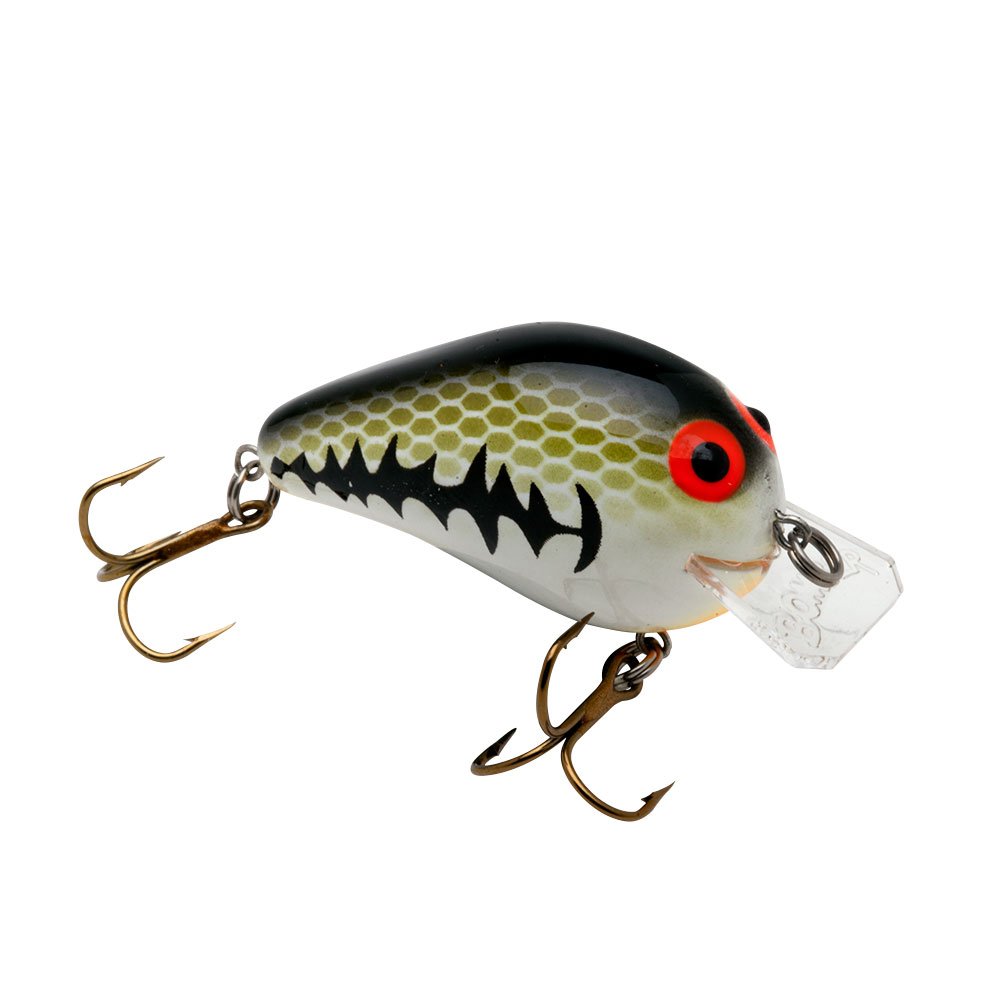 Bomber Lures Square A Crankbait Fishing Lure, Fishing Gear and Accessories, 2", 3/8 oz, Foxy Momma