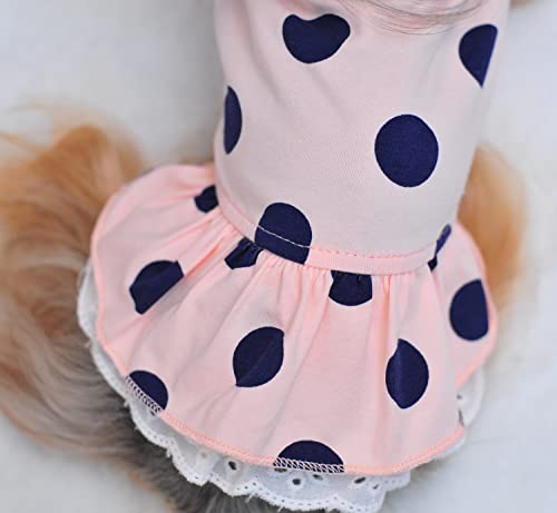 MSNFOASM 2Pcs-Pet Dog Elastic Soft Dress,Cute Polka Dots Lace Skirt for Small Dogs Cats(White&Pink S)
