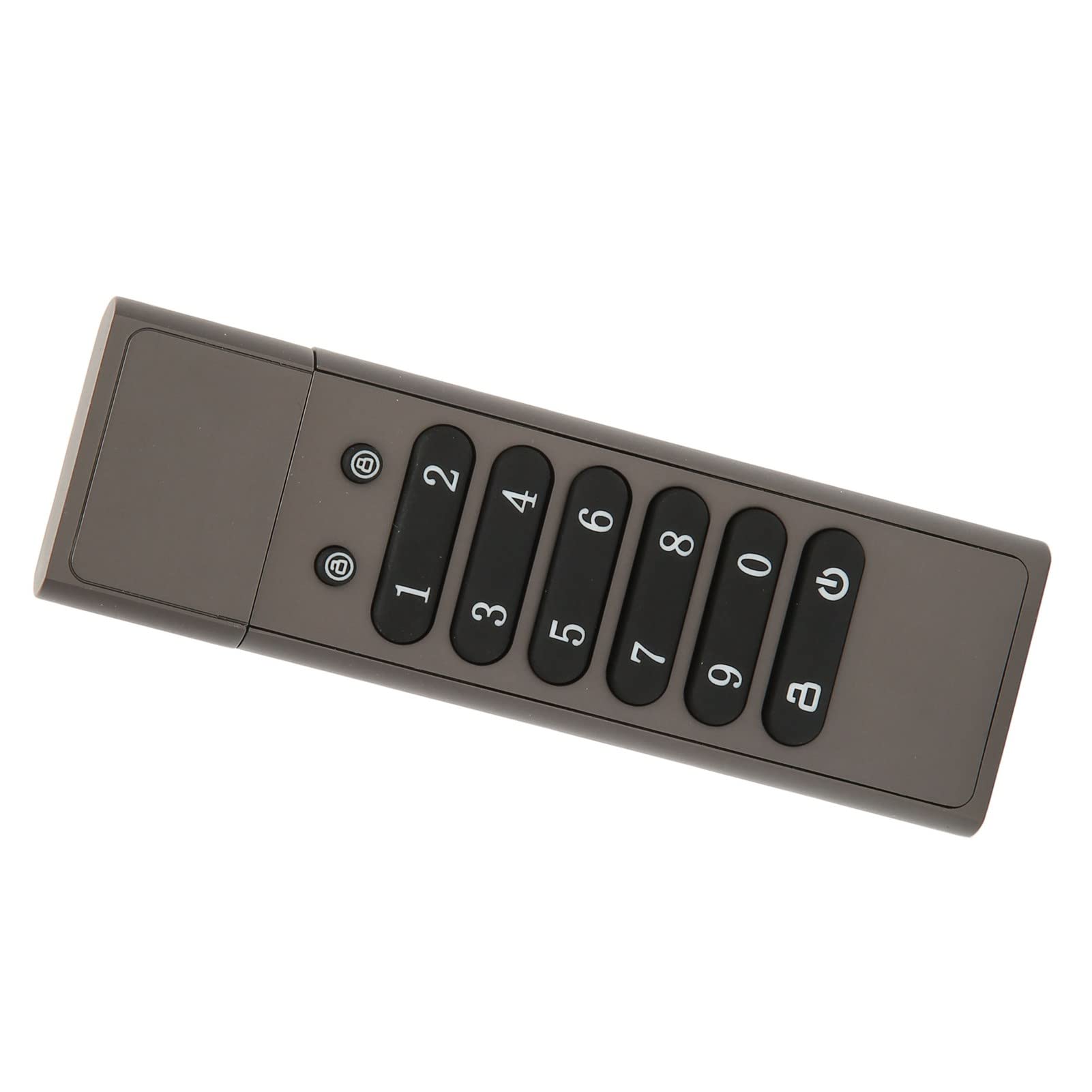 Encrypted USB Drive, Quick Password Flash Drive, Auto Lock Key USB Flash Drive for Research and Development Institutions for Government Financial Purposes (128GB)