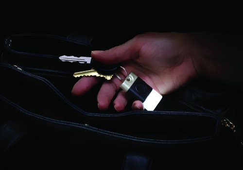 Xodus Innovations BL300 Easy to Find Always Glowing LED Key Chain Purse Light with Flashlight