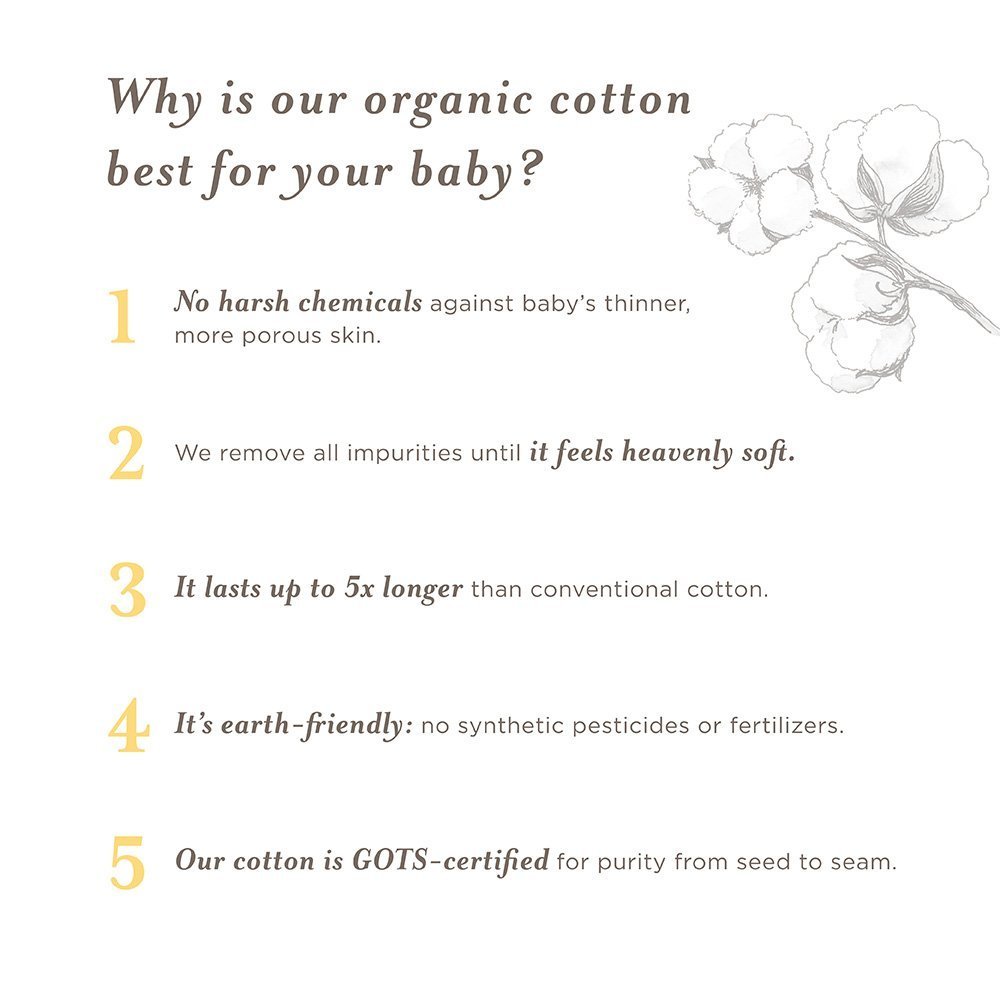 Burt's Bees Baby - Set of 2 Bee Essentials 1 Ply Blankets, 100% Organic Cotton (1 Solid + 1 Honeybee Print, Blossom) , 29x29 Inch (Pack of 2)