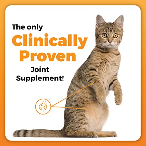 VETRISCIENCE Glycoflex 3 Maximum Strength Hip and Joint Supplement with Glucosamine for Cats - DMG, MSM & Green Lipped Mussel