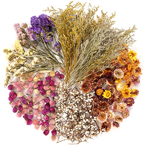 MEWTOGO 10.5Oz Hamster Bedding Decor - Natural Edible Dried Flowers Herb for Habitat Decor of Gerbils Hamsters Degus Mice Reptiles Bunny and Other Small Animals