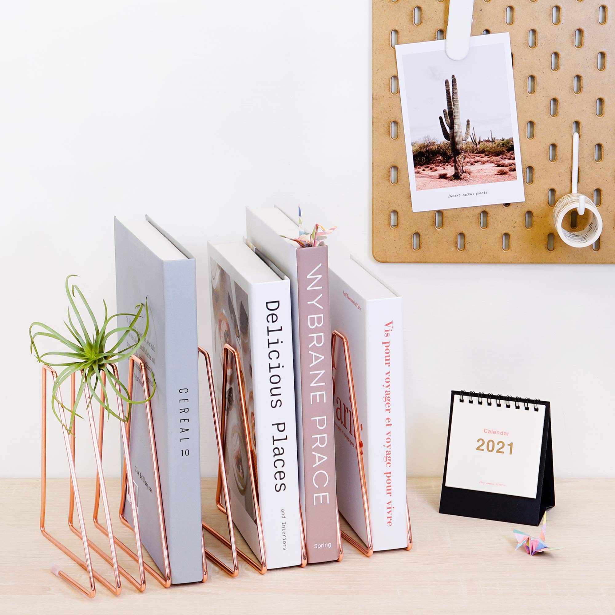 CAXXA 10 Slots Triangle Bookshelf, File Sorter, Magazine Holder, Document Holder, Rose Gold