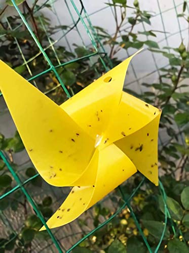 Faicuk 20-Pack Dual-Sided Yellow Sticky Traps for Flying Plant Insect Like Fungus Gnats, Aphids, Whiteflies, Leafminers - (6x8 Inches, Twist Ties Included)