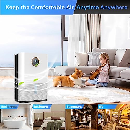 PTHRAOUTA dehumidifier for basement bathroom RV home closet indoor indoor 33.8 oz water tank(800 sq.ft) small dehumidifiers safe mini drainage auto-off odor removal 2 duak-core portable dehumidifier 5 colorful lights remove moisture quite silent car deh