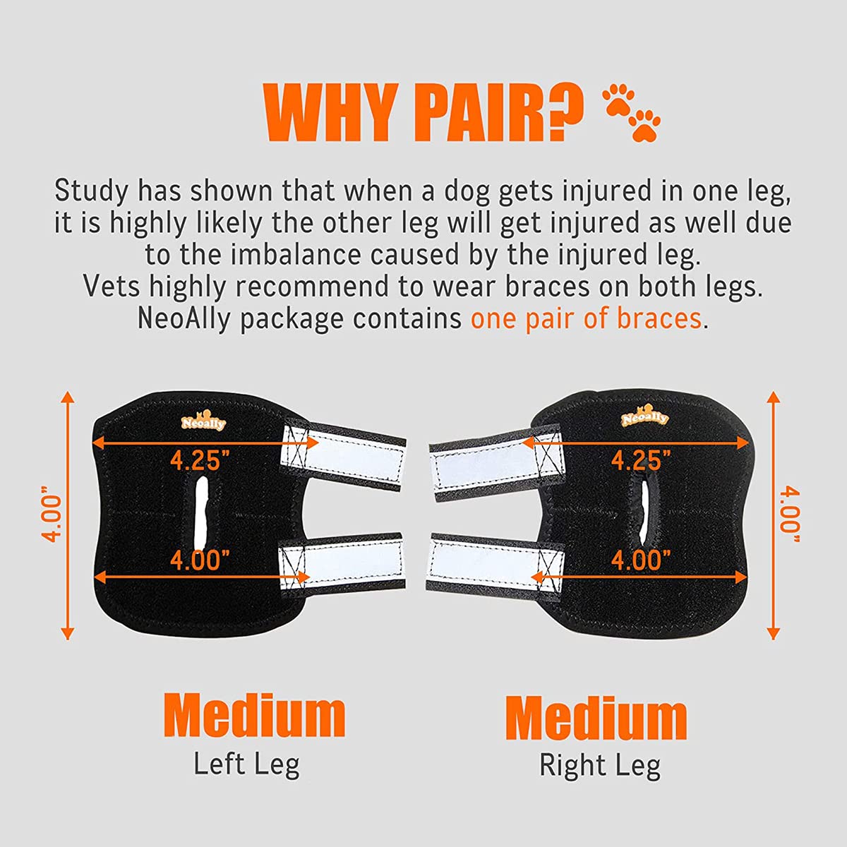 NeoAlly® - Rear Leg Hock Brace with Metal Spring Strips, Dog Leg Brace for Rear Leg, Hock and Ankle Support, Rear Dog Leg Brace for Smaller Dogs, Short Version, Medium, 1 Pair