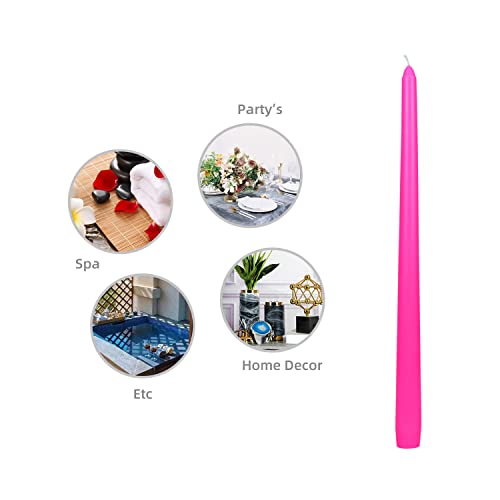 Zest Candle 12-Piece Taper Candles, 12-Inch, Hot Pink