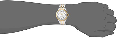Timex Men's TW2R48100 Briarwood Two-Tone Stainless Steel Expansion Band Watch