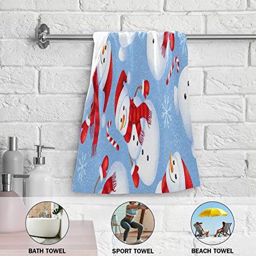 Christmas Snowman Dish Towels for Kitchen Set 2 Piece Microfiber Dish Cloths for Drying Dishes,Absorbent Kitchen Towels Christmas Snowman Tea Towels,3