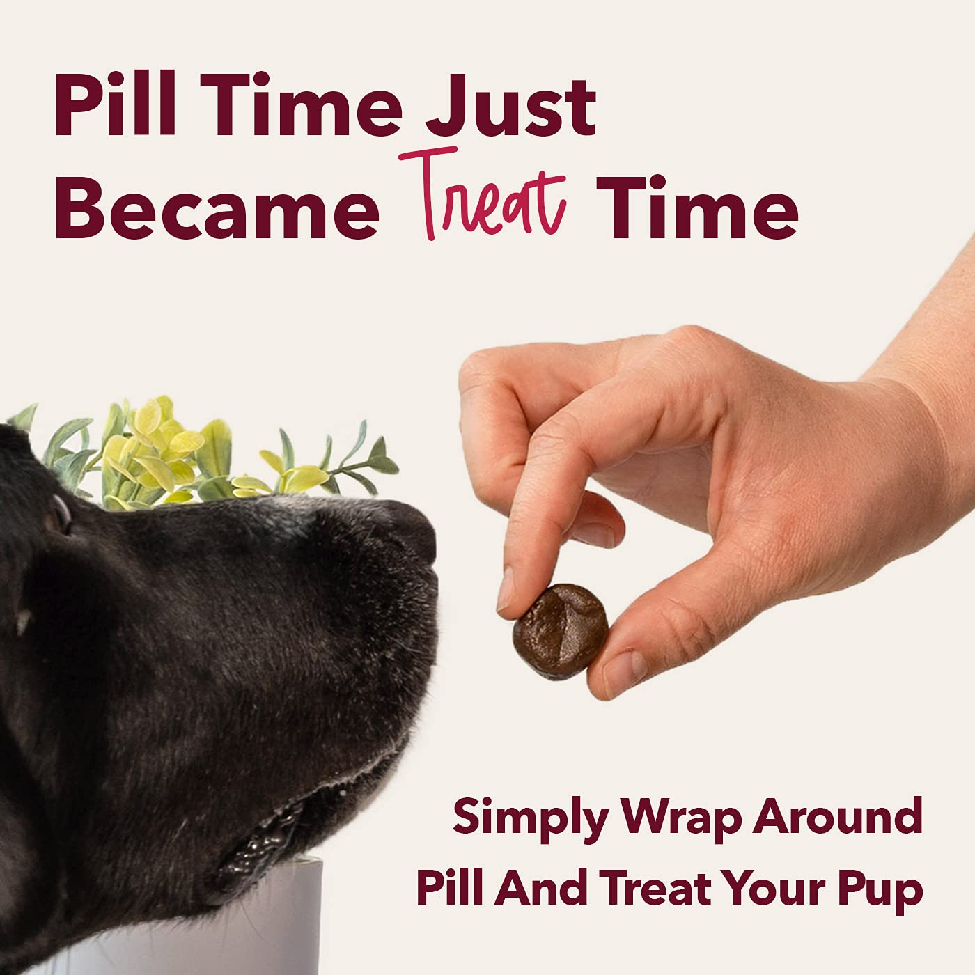 iHeartDogs Probiotic Pill Paste Wrap for Dogs β 4 oz Chicken & Bacon Flavored Pill Masker for Picky Dogs - Hide Medication in This Tasty Hide-A-Pill Dough