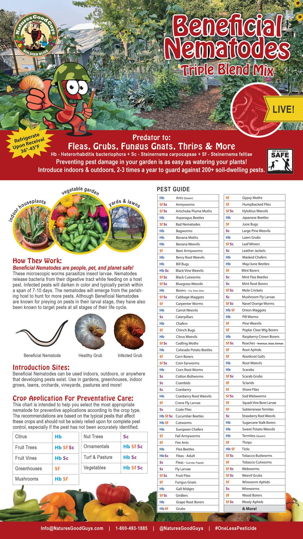 Natures Good Guys - Triple Blend Beneficial Nematodes HB+SC+SF (250 Million)