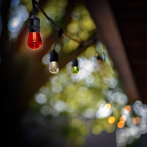 Feit Electric 24" 12pc. Light Color Changing Smart WiFi String Lights with Scheduling Features and Works with Alexa/Google Assistant, Heavy Duty and Weather Resistant - Clear Bulb - SL24-12/RGBW/AG