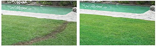 Hydro Mousse Bermuda Grass Seed - Large Refill Bag - Covers up to 1000 Square Feet
