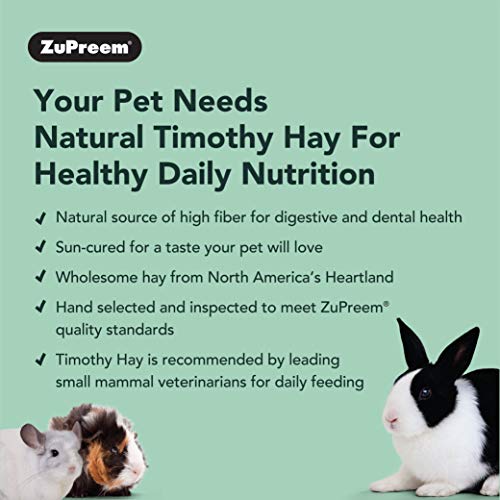 ZuPreem Nature's Promise⢠Western Timothy Hay, 14.0 oz