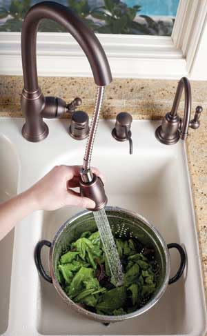 Newport Brass 2510-5103 Nadya Single Handle Kitchen Faucet with Pull-down Spray, Venetian Bronze