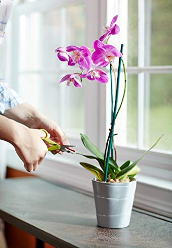 Miracle-Gro Orchid Plant Food Spikes (3)