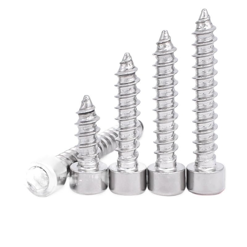 CHANWA 10pcs 304 Stainless Steel Hexagon Socket self-Tapping Screws Cup Head Pointed Tail Screws Cylindrical Head Screws Hexagon Socket Screws (Size : M5*12)