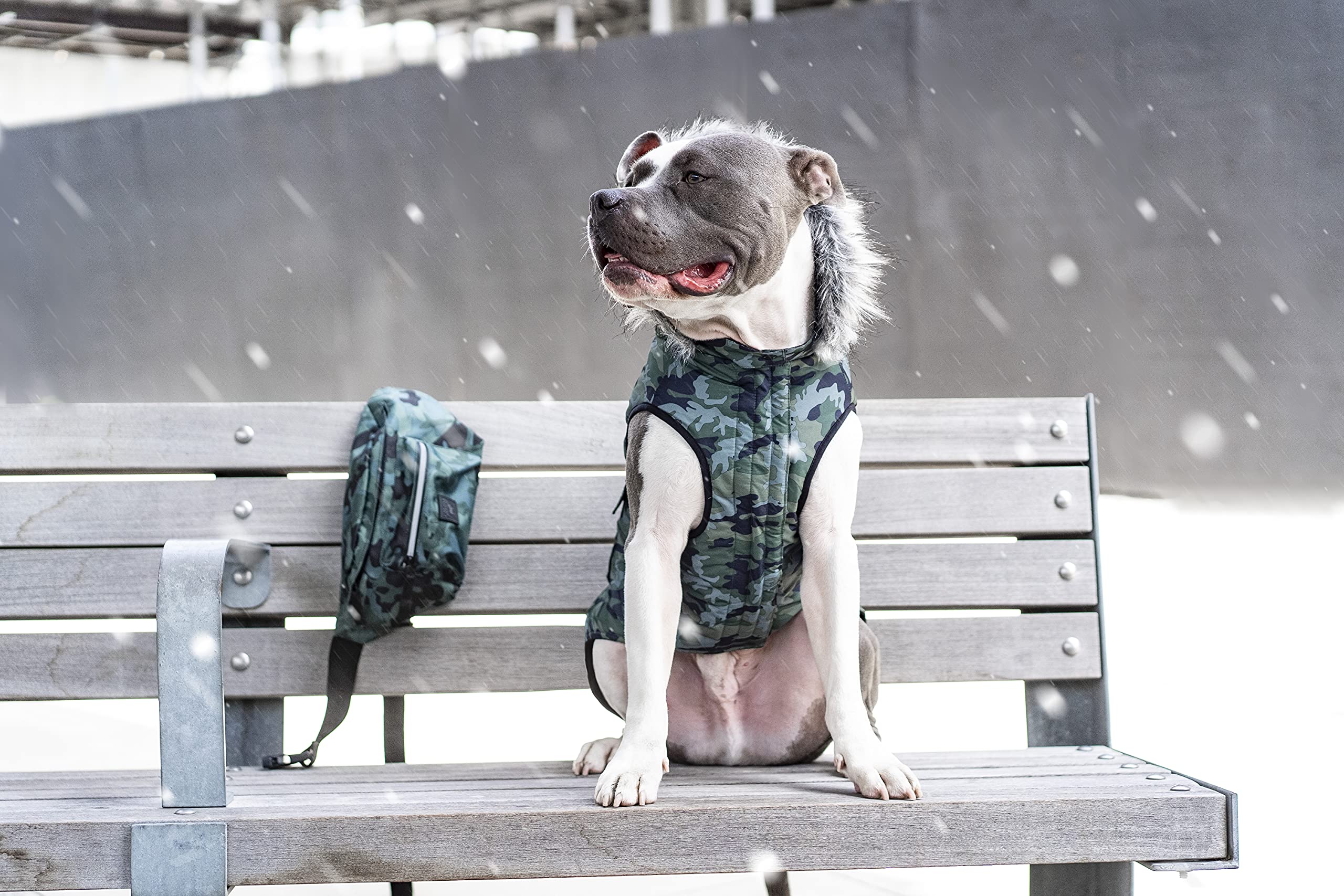 Canada Pooch Dog Winter Vest with Water-Resistant Insulation Down Jacket for Warmth Comfortable Winter Dog Coat with Fleece Lining Easy On Velcro Closure for Small Medium Large Dogs - Red/Size 12