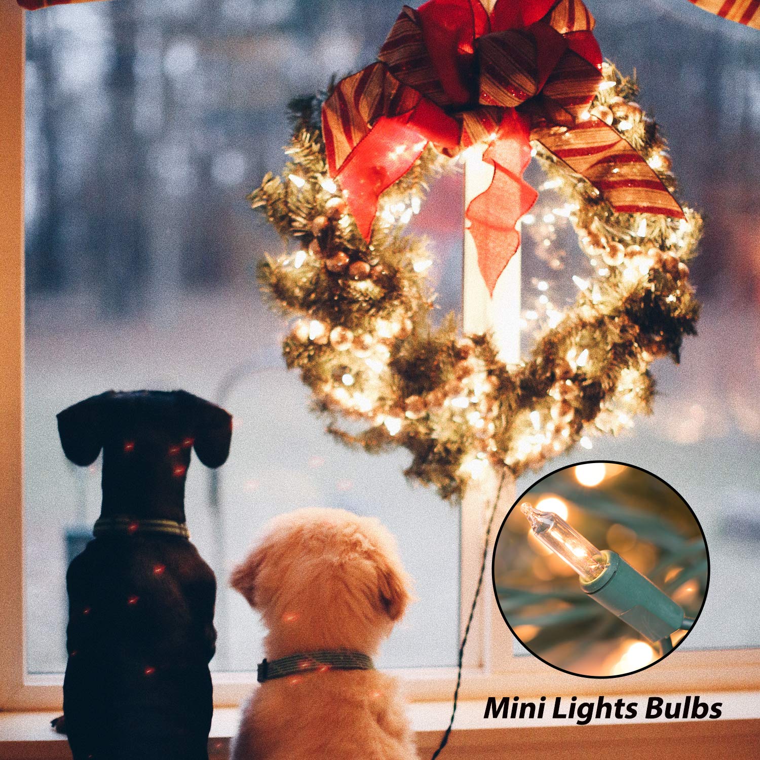 Christmas Lights Replacement Mini Bulbs 2.5 Volt 100 Count Glass Incandescent Green Base for Xmas String Lights Outdoor Indoor Holiday Party Decor, Warm White