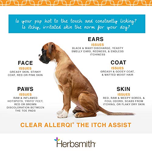 Herbsmith Clear Allerqi – Allergy Aid for Cats & Dogs – Pet Allergy Support – Anti Itch Pills for Dogs & Cats - 90 Tablet