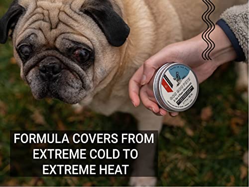 Gou Gou Pets 3-in-1 Paw Ointment Holistic Natural Derived Herbalfor Dogs, Cats, Horses: Conditioning & Moisturizing for Extreme Heat & Cold Causing Frozen & Burned Paws - Made in USA - 1 oz