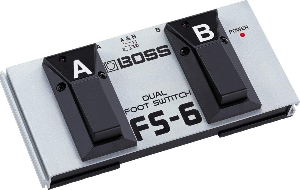 Boss FS-6 Dual Foot Switch and Hosa CSS-110 10' TRS Cable Bundle