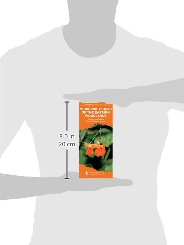 Medicinal Plants of the Eastern Woodlands: A Folding Guide to Familiar Species (Outdoor Recreation and Survival)