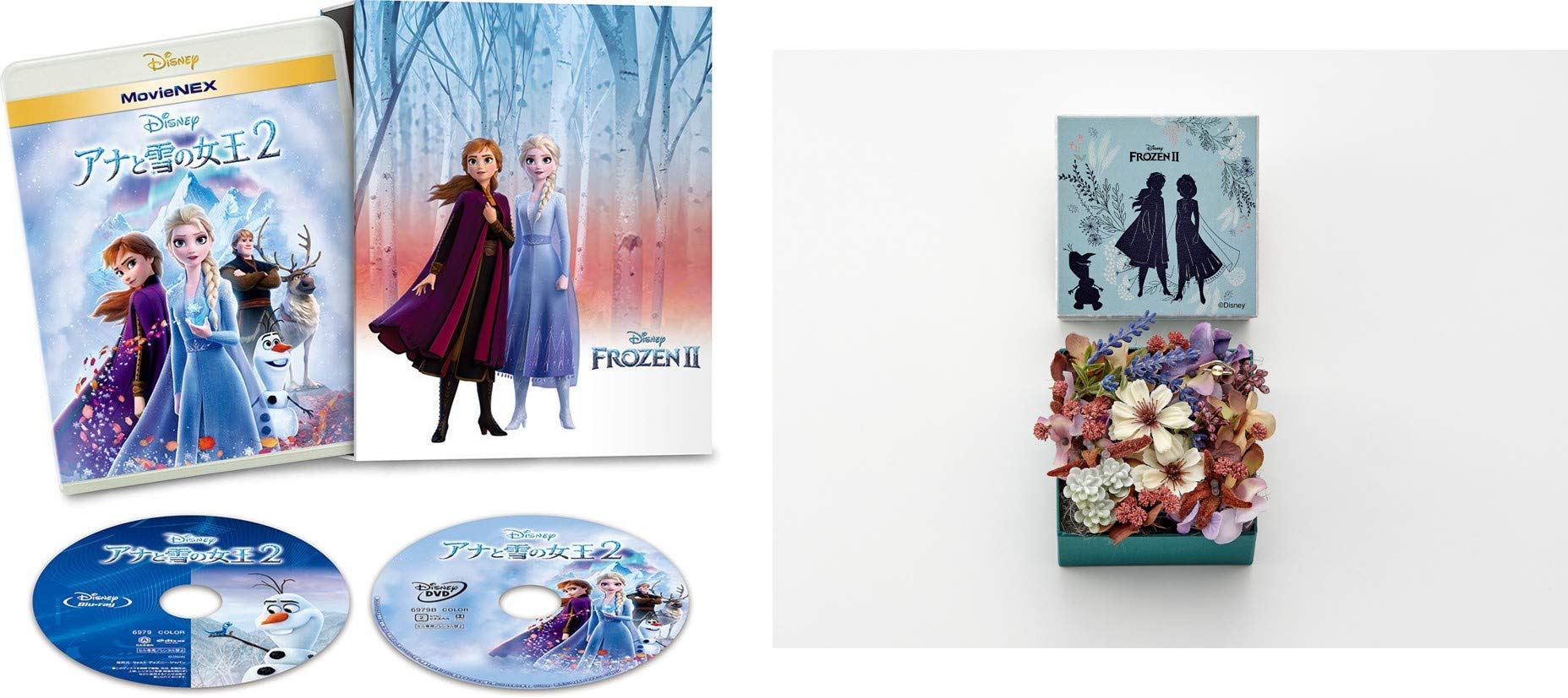 アナと雪の女王２ MovieNEX [ブルーレイ+DVD+デジタルコピー+MovieNEXワールド]