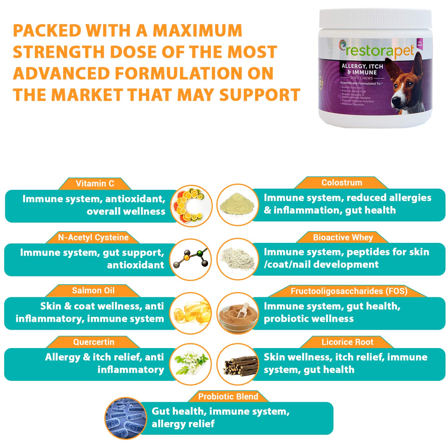 RestoraPet Allergy, Itch & Immune Soft Chews - Natural Supplement for Dogs - Support Immunity, Soothe Skin Irritation, Improve Coat Quality β with Lactoferrin, Colostrum & Omega 3-60 Bacon Chewables
