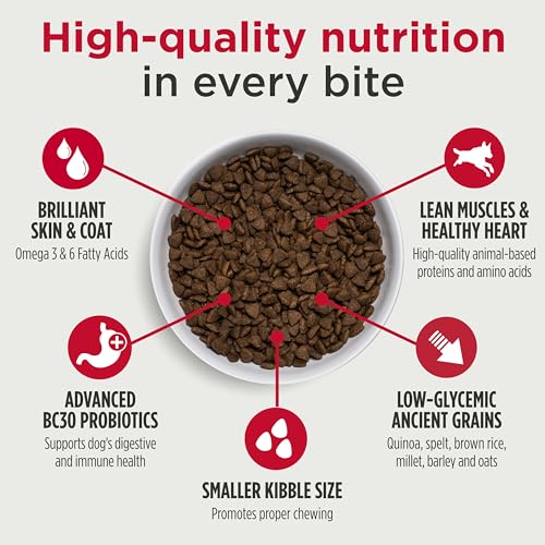 Nulo Frontrunner Small Breed Dry Dog Food, Premium Ancient Grain Small Kibble for Proper Chewing with Taurine for Heart Health and Probiotics for Digestive Support