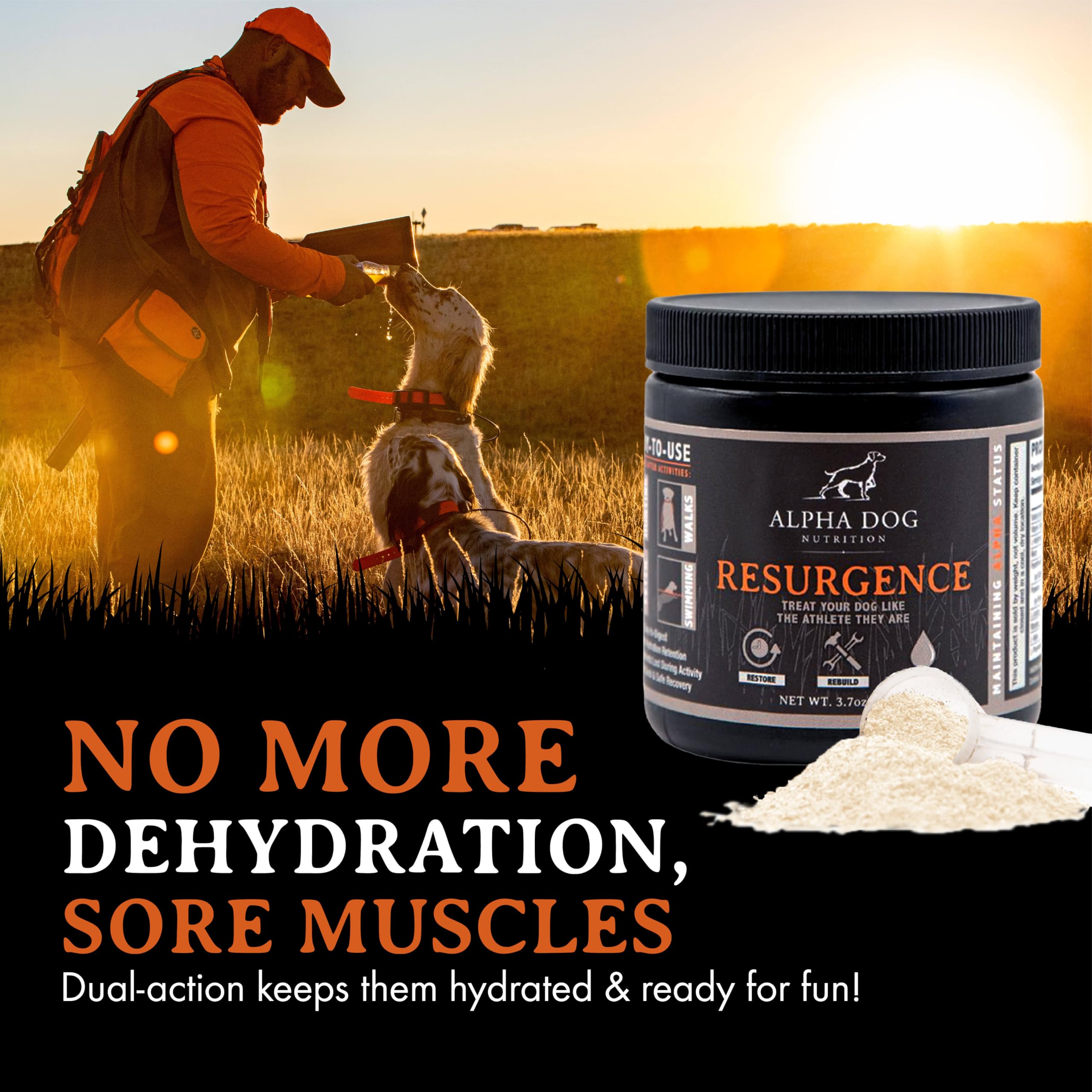 Resurgence Dog Electrolytes by Alpha Dog Nutrition | Promote Dog Hydration, Increase Stamina, and Boost Recovery | Electrolyte Water Additive or Food Topper to Prevent Dehydration with Beef Flavoring