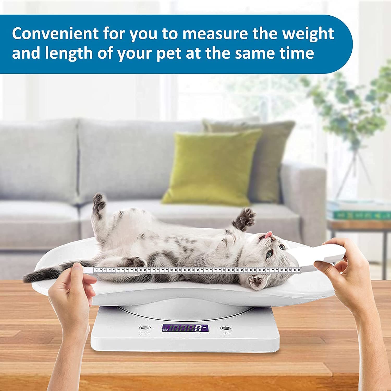 Digital Small Animals Scales for Weighing with Tape Measure, Puppy Whelping Scale Weigh Your Kitten, Rabbit with High Precision, Multifunction Electronic Baby Scales for Small Dogs